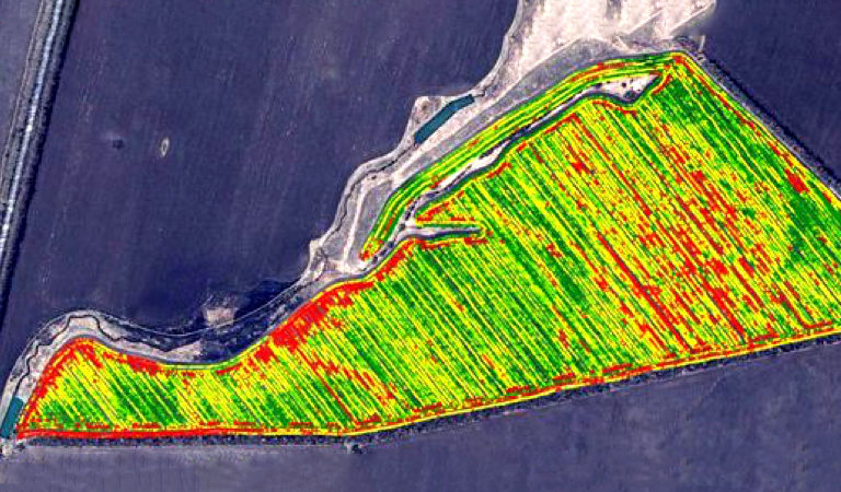 How Does Precision Mapping Empower Agribusinesses?