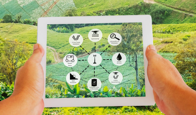 Crop Management Software for Sustainable Farming | Intellias