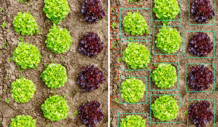 Smart Spraying Technology in The Agriculture Sector - Intellias