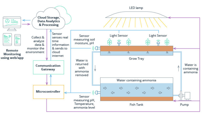 Vertical Agriculture Roadmap: From Concept to Profit - Intellias
