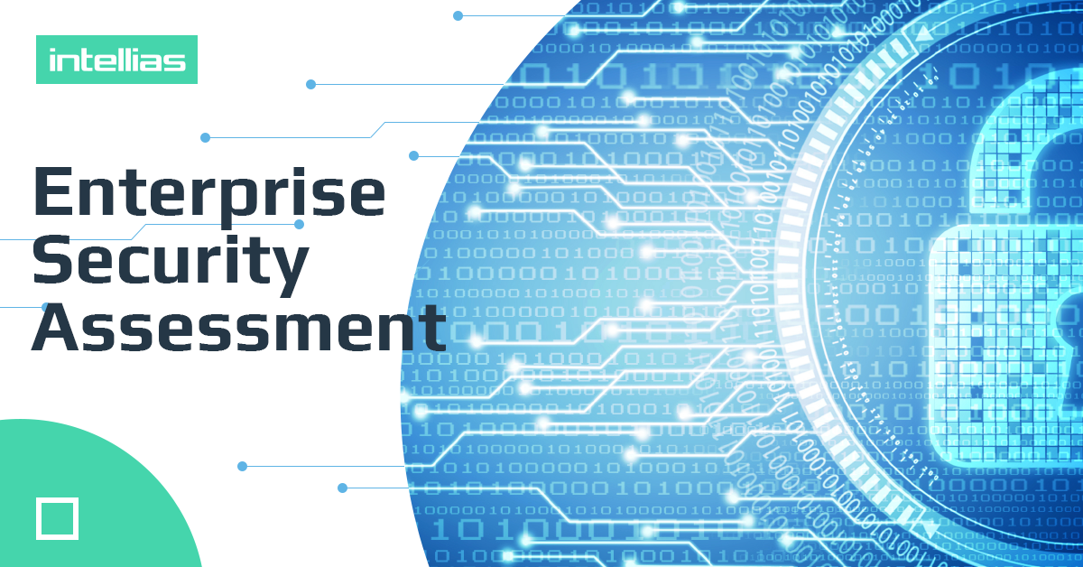 Penetration Testing and Enterprise Security Consulting Case Study