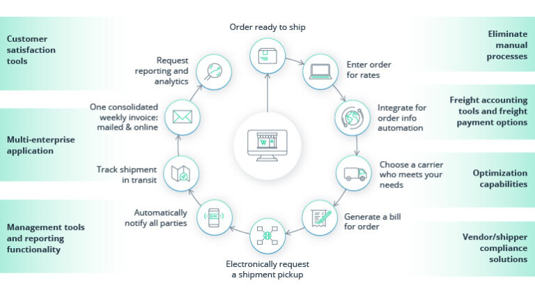 Custom TMS Software Development vs Ready-Made in 2023