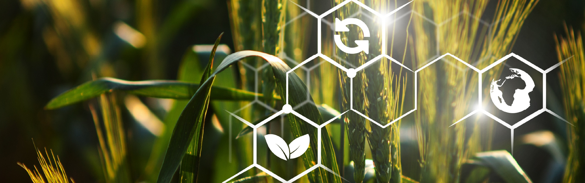 Big Data Analytics in Agriculture: 5 Business Use Cases - Intellias