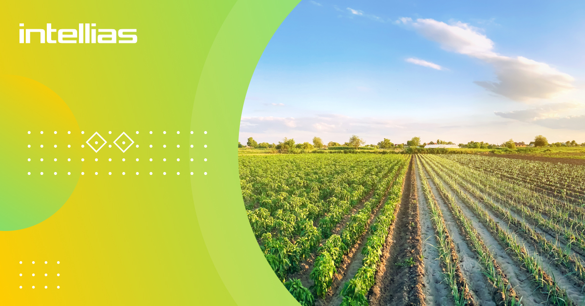 8 Applications of GIS in Agriculture for Sustainable Growth - Intellias