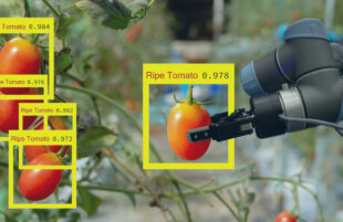 Blog About Agriculture Technologies - Intellias