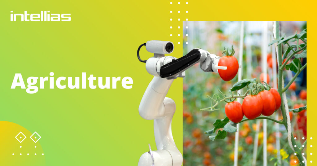 Technologieberatung zwecks effektiver Nutzung digitaler ...