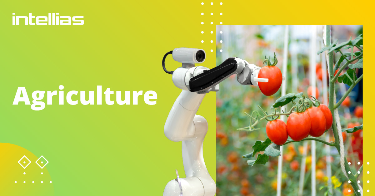 Agriculture Technology Consulting to Empower Digital Solutions