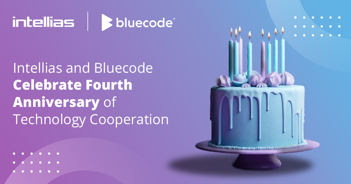 Intellias and Bluecode Celebrate 4th Anniversary of Cooperation