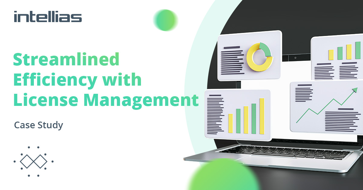 License Management Tool for an IT Consulting Company