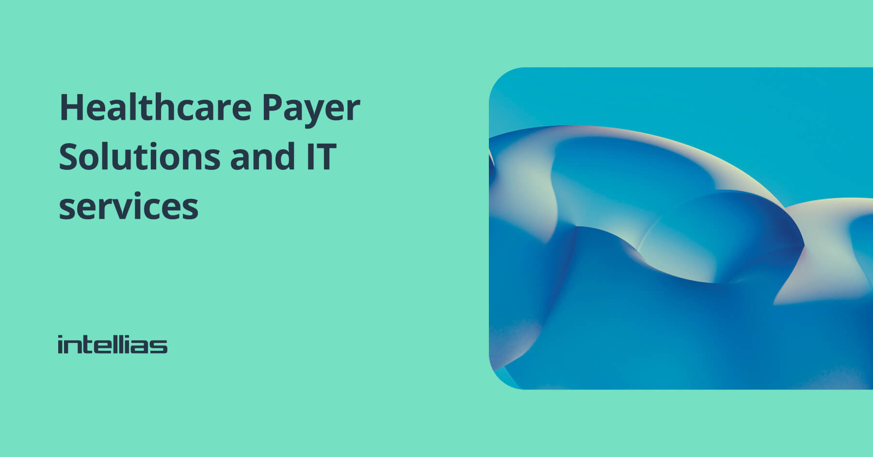 Healthcare Payer Solutions and IT services - Intellias